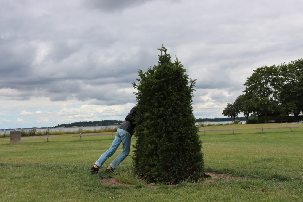 Push a Bush - Johna Hansen